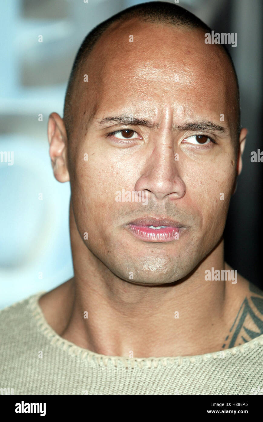 Dwayne Johnson 2003