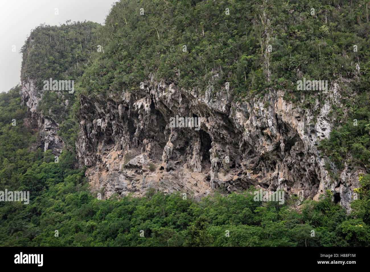 Weathered limestone cliff, Vinales Valley, Cuba Stock Photo - Alamy