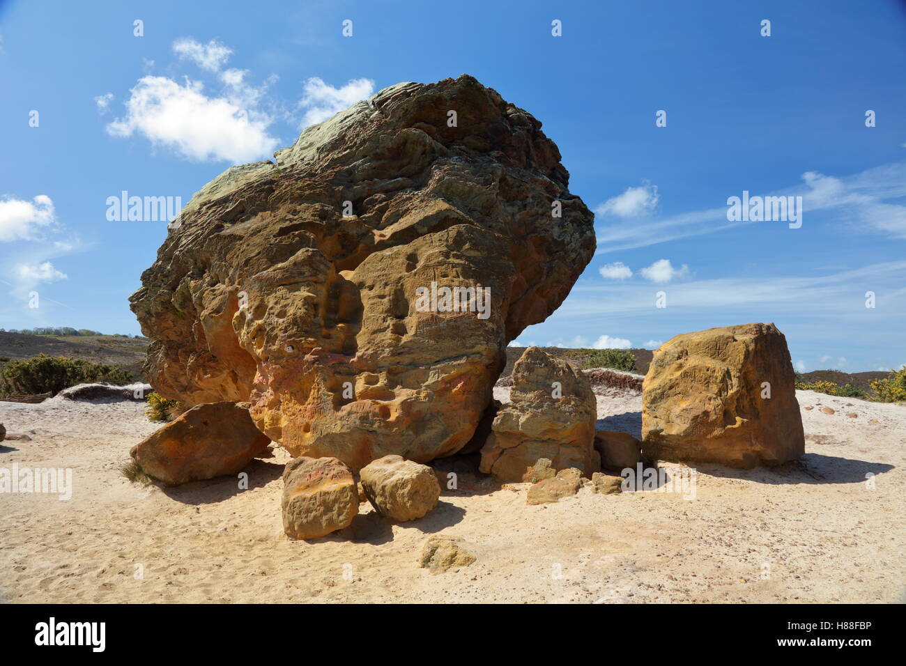 Agglestone Rock (Devil's Anvil) very prominent on Godlingstone Heath of ...
