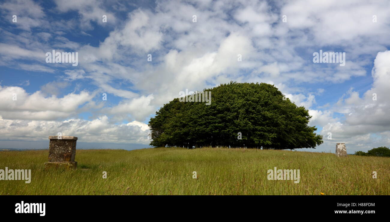 Early afternoon Win Green Hill, Cranborne. This is a grand viewpoint ...