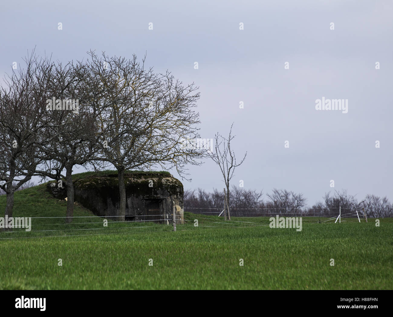 French bunker ruin near Langensoultzbach, Vosges, France. It was built ...