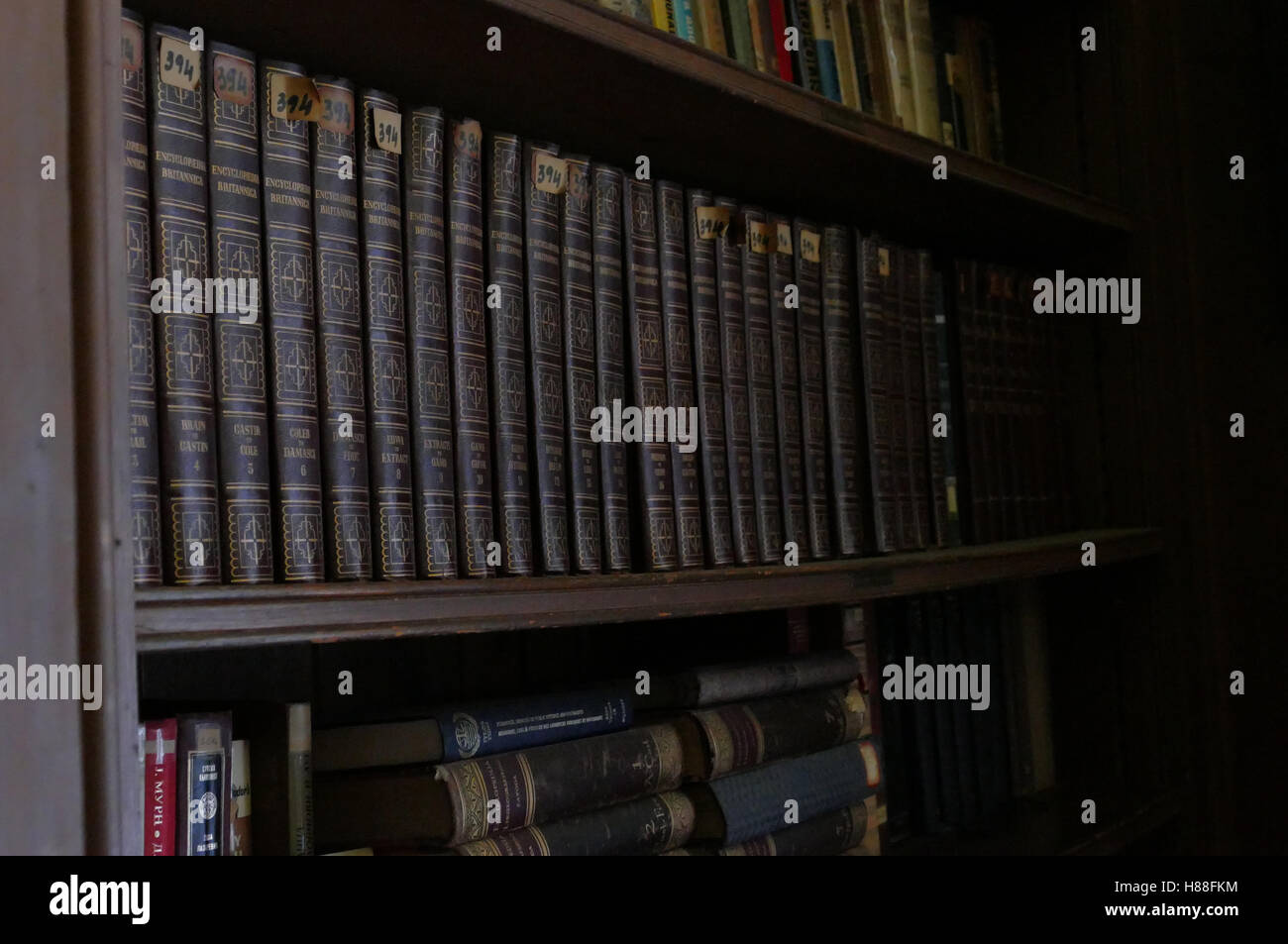 Wooden book shelves with old library books Stock Photo - Alamy