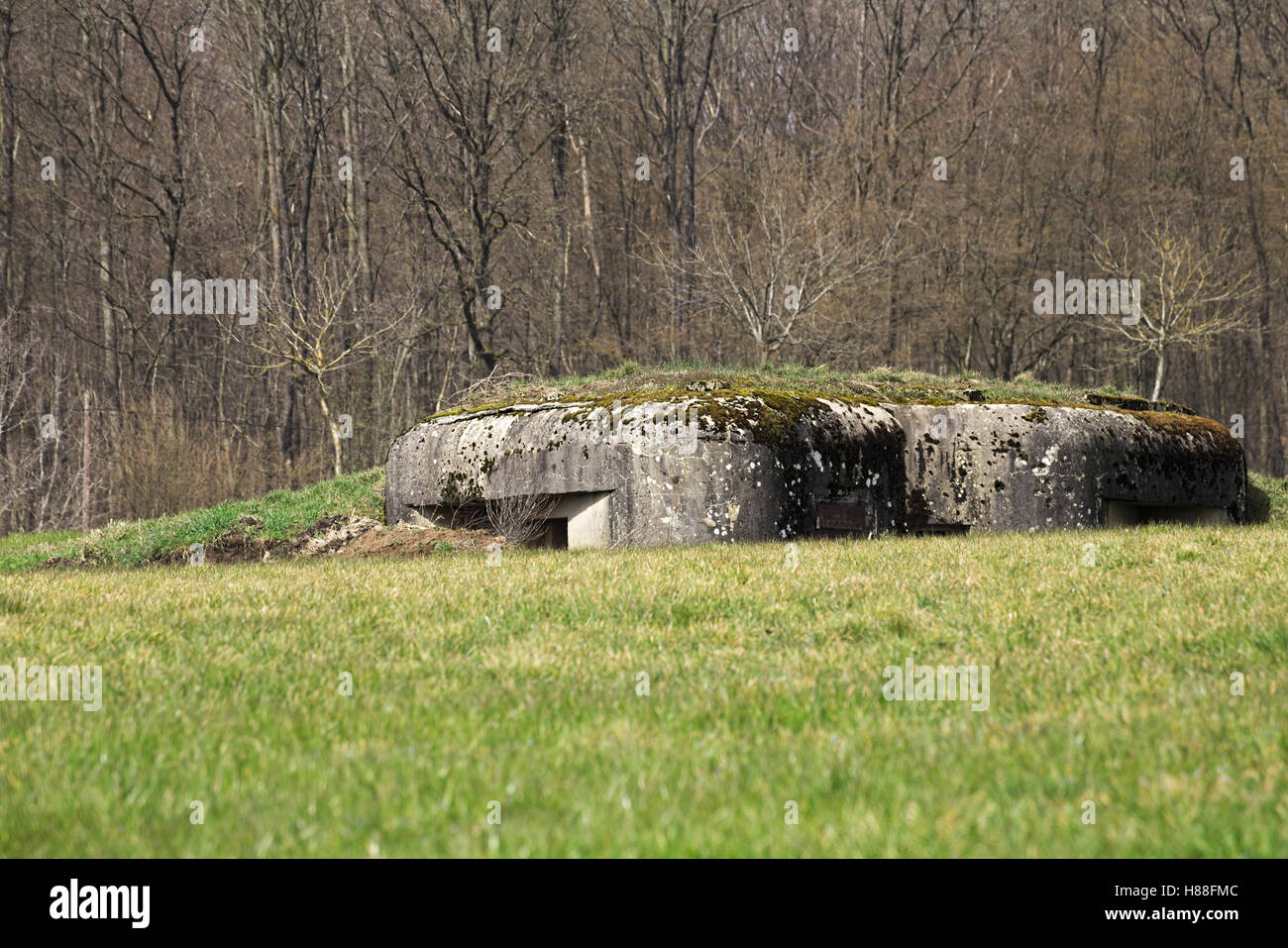French bunker ruin near Langensoultzbach, Vosges, France. It was built ...