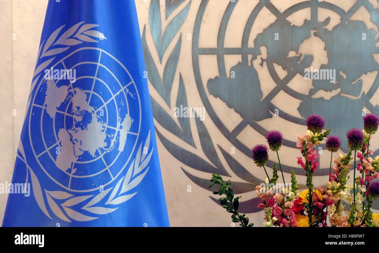 United nations flag hi-res stock photography and images - Alamy