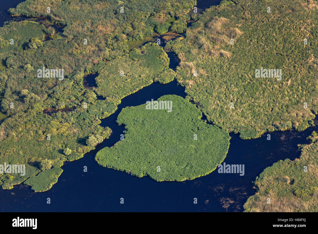 Reed islands, Danube Delta, Romania Stock Photo - Alamy
