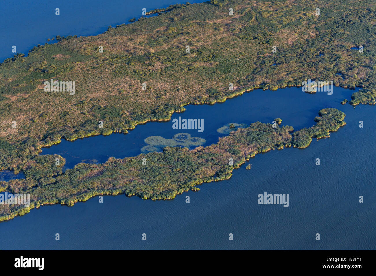 Reed island, Danube Delta, Romania Stock Photo - Alamy