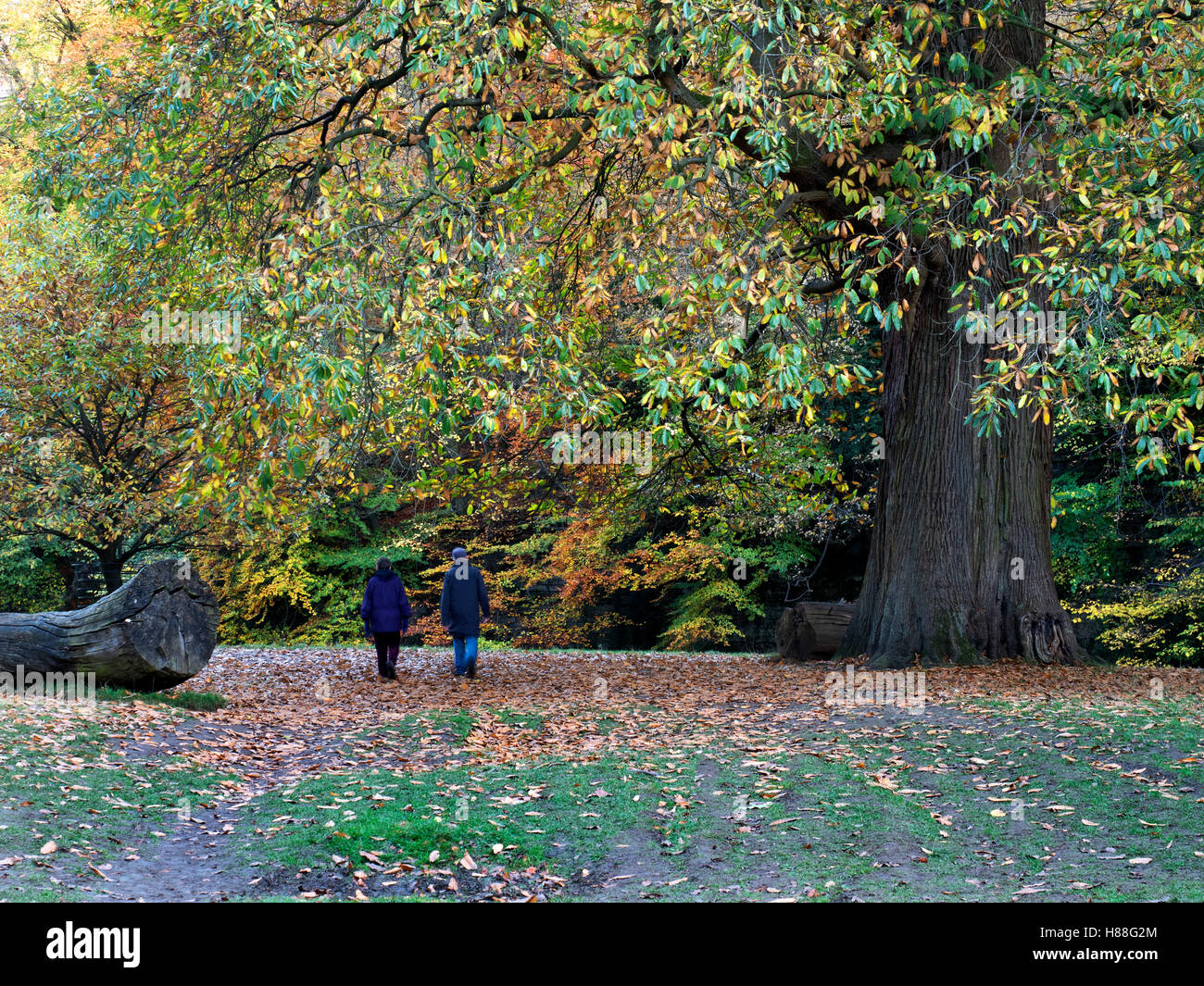 Seven bridges valley walk hi-res stock photography and images - Alamy