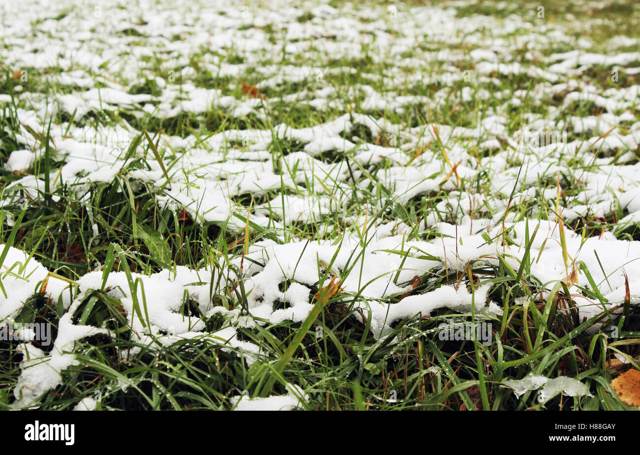 Snow and grass hi-res stock photography and images - Alamy