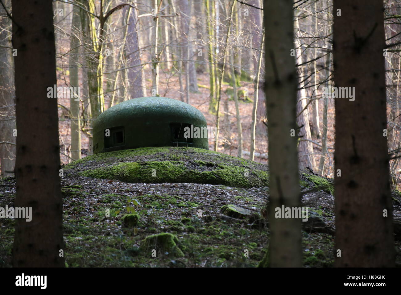 French bunker turret near Langensoultzbach, Vosges, France. It was ...