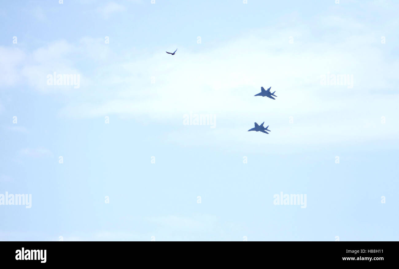 Serbian Air Force Mig-29 fighter bomber jet military combat aircraft ...