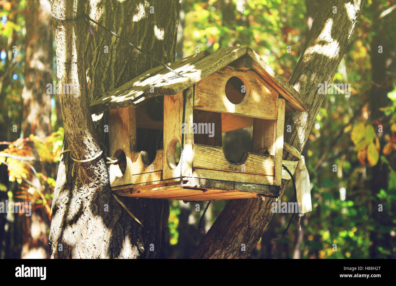 Birdhouse bird house tree hi-res stock photography and images - Alamy