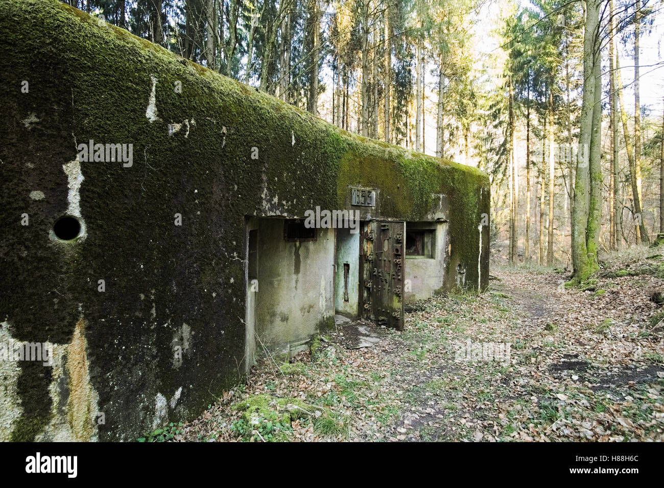 French bunker ruin near Langensoultzbach, Vosges, France. It was built ...
