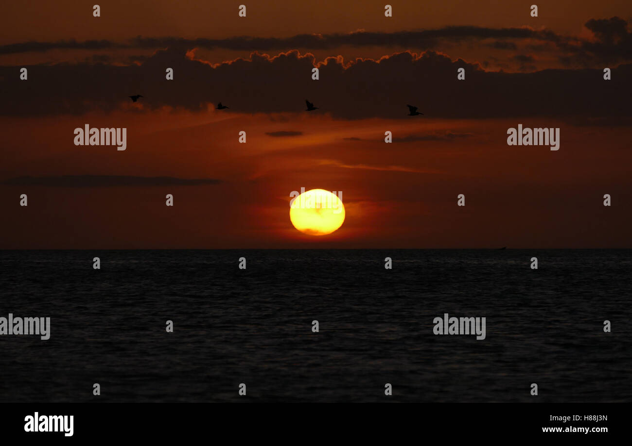 Incredibly beautiful sunset at Caribbean near the Equator at the azure ...