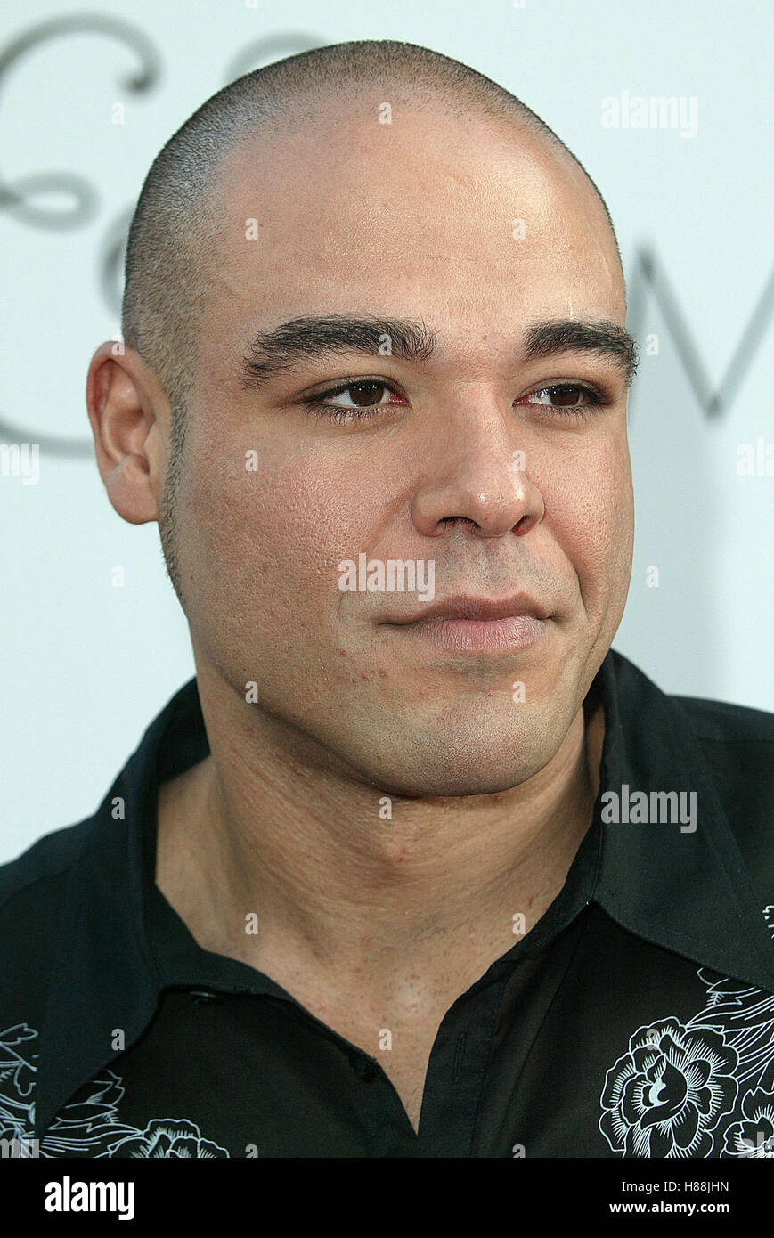 Lobo sebastian hi-res stock photography and images - Alamy