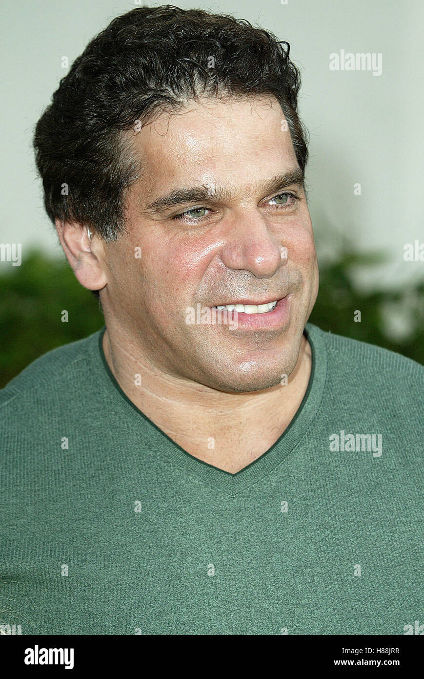 Lou ferrigno hulk hi-res stock photography and images - Alamy