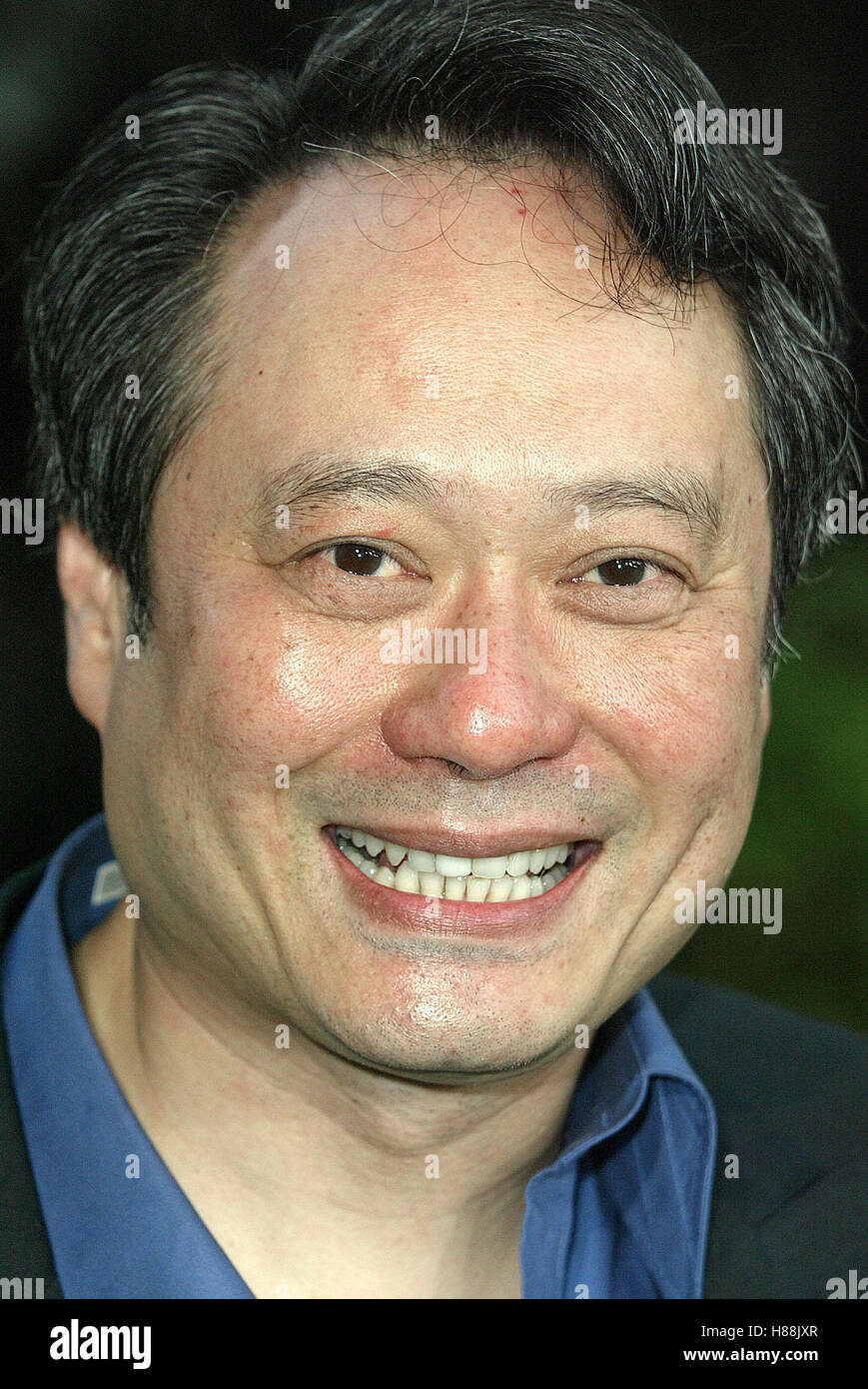 Hulk ang lee hi-res stock photography and images - Alamy