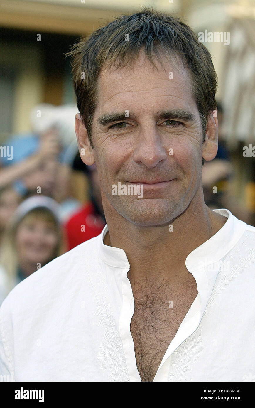 Necessary Roughness Scott Bakula