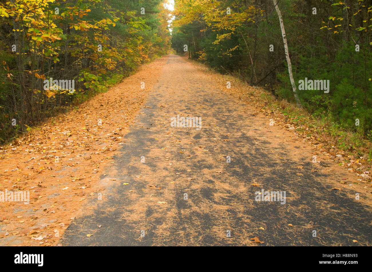 Windham rail trail hi-res stock photography and images - Alamy