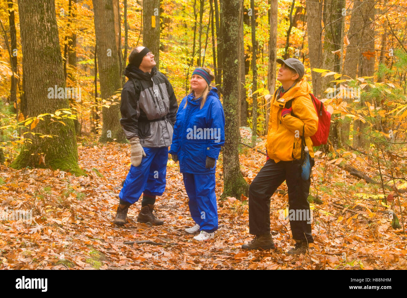 Hikers on great turkey pond hi-res stock photography and images - Alamy