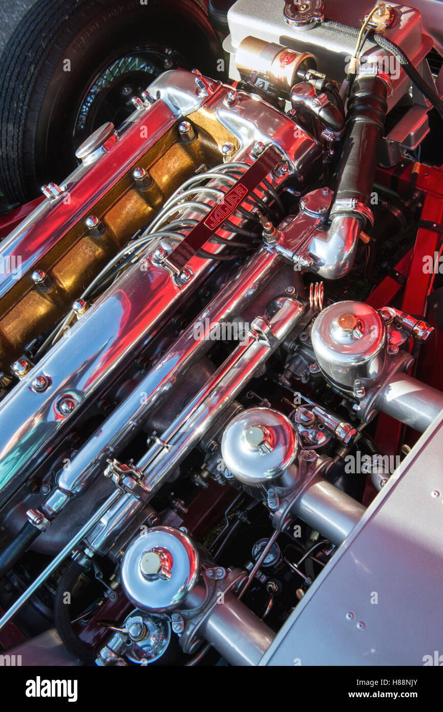 Jaguar E Type Engine. Classic british sports car Stock Photo - Alamy