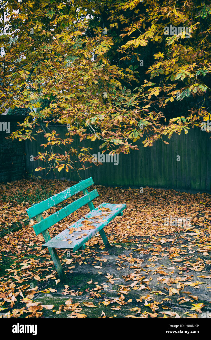 Empty wooden bench and fallen autumn tree leaves. Oxfordshire, UK ...
