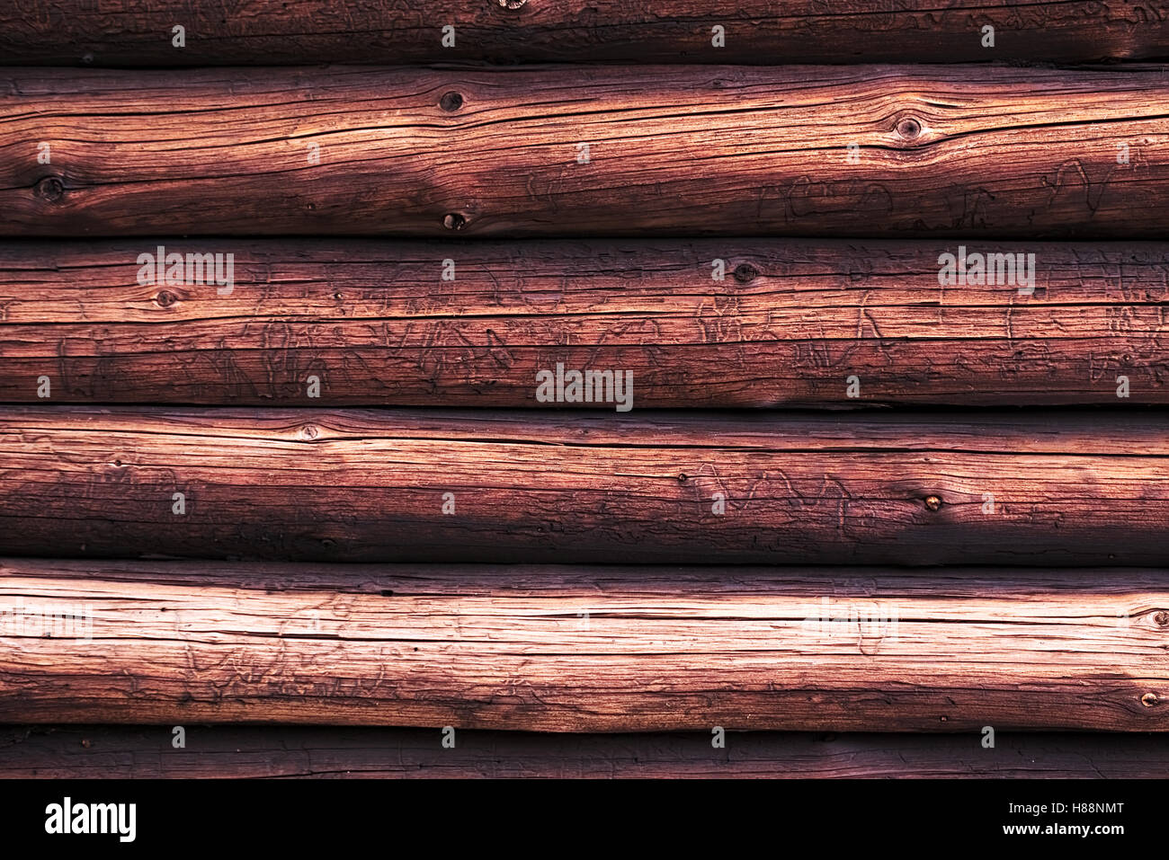 Wooden logs with a groove and hole structure made by insects Stock ...
