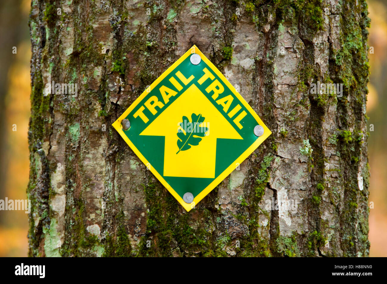 Trail marker, Manchester Cedar Swamp Preserve, New Hampshire Stock ...