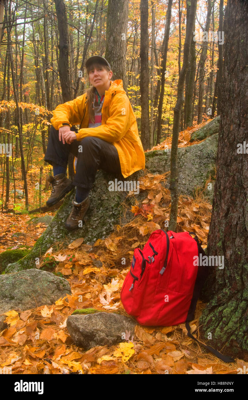 Hiker rest, Manchester Cedar Swamp Preserve, New Hampshire Stock Photo ...