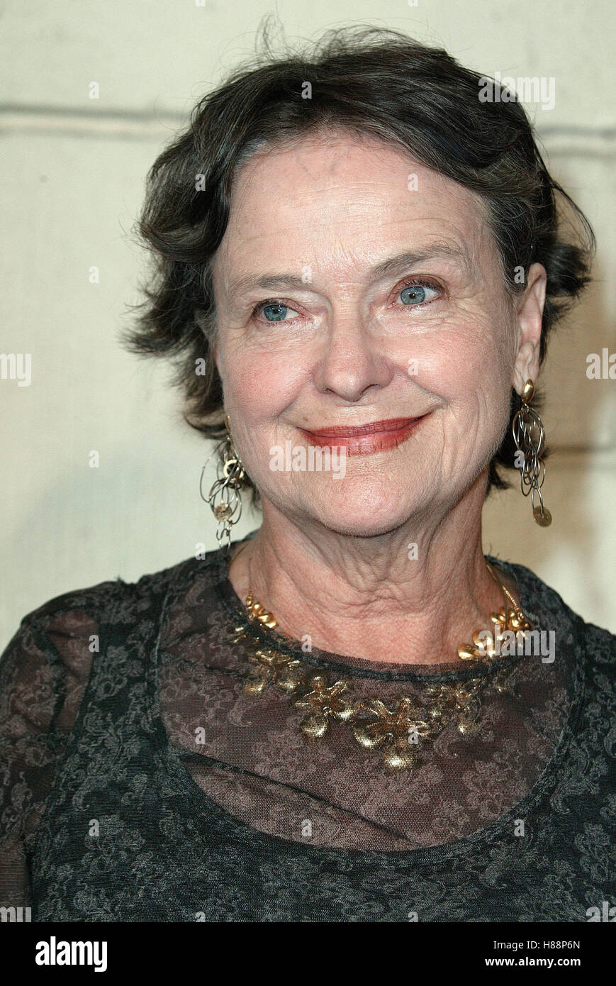 DIANE JOHNSON LE DIVORCE FILM PREMIERE WESTWOOD LOS ANGELES USA 29 July ...