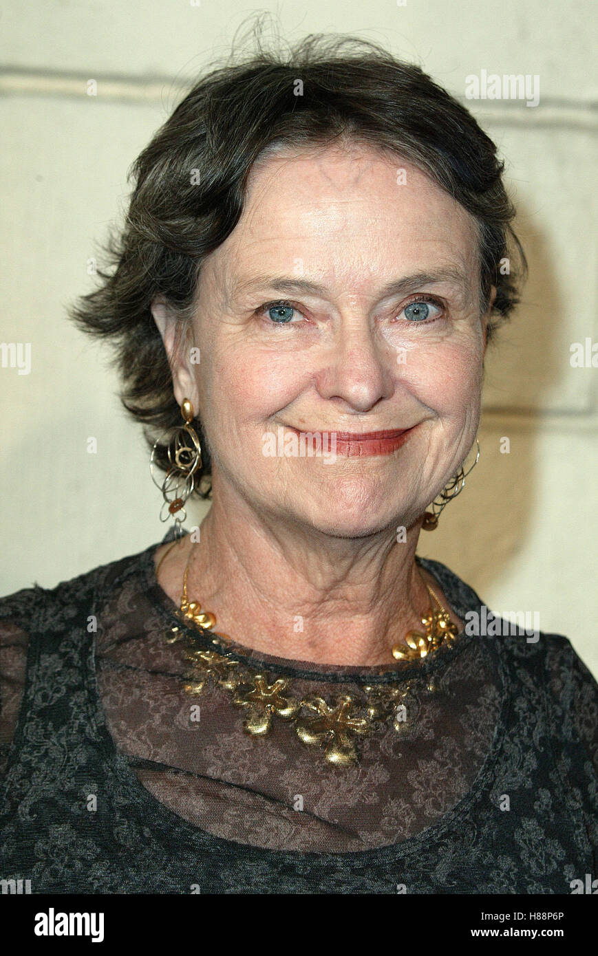 DIANE JOHNSON LE DIVORCE FILM PREMIERE WESTWOOD LOS ANGELES USA 29 July ...