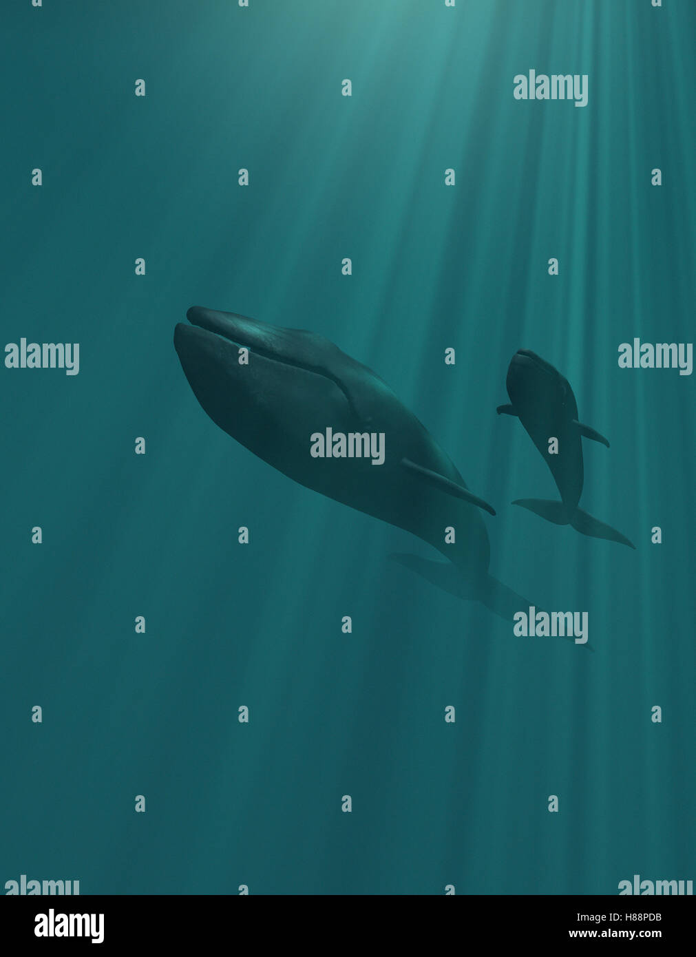 Whales concept hi-res stock photography and images - Alamy