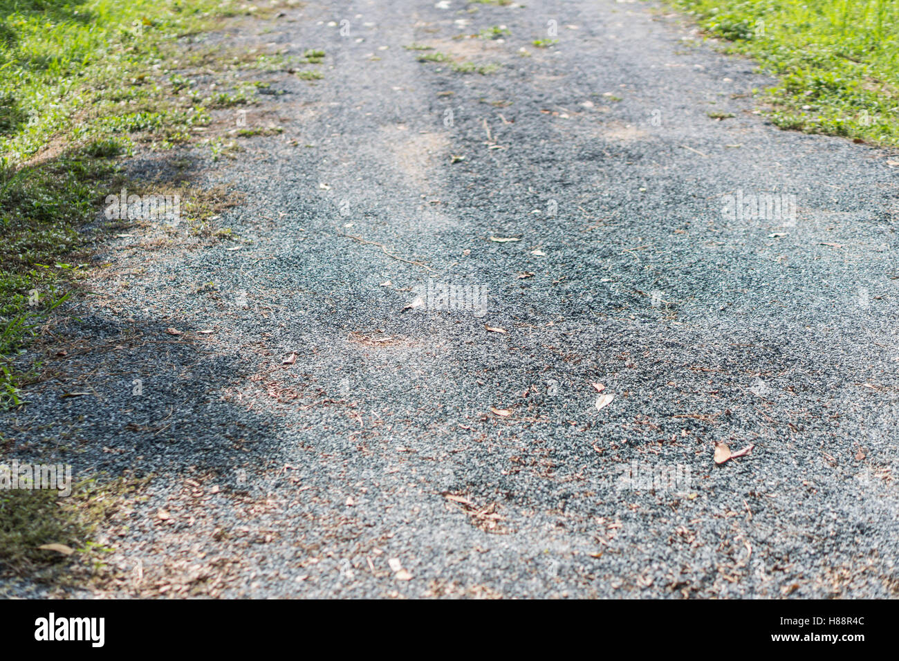 Sand desert road hi-res stock photography and images - Alamy
