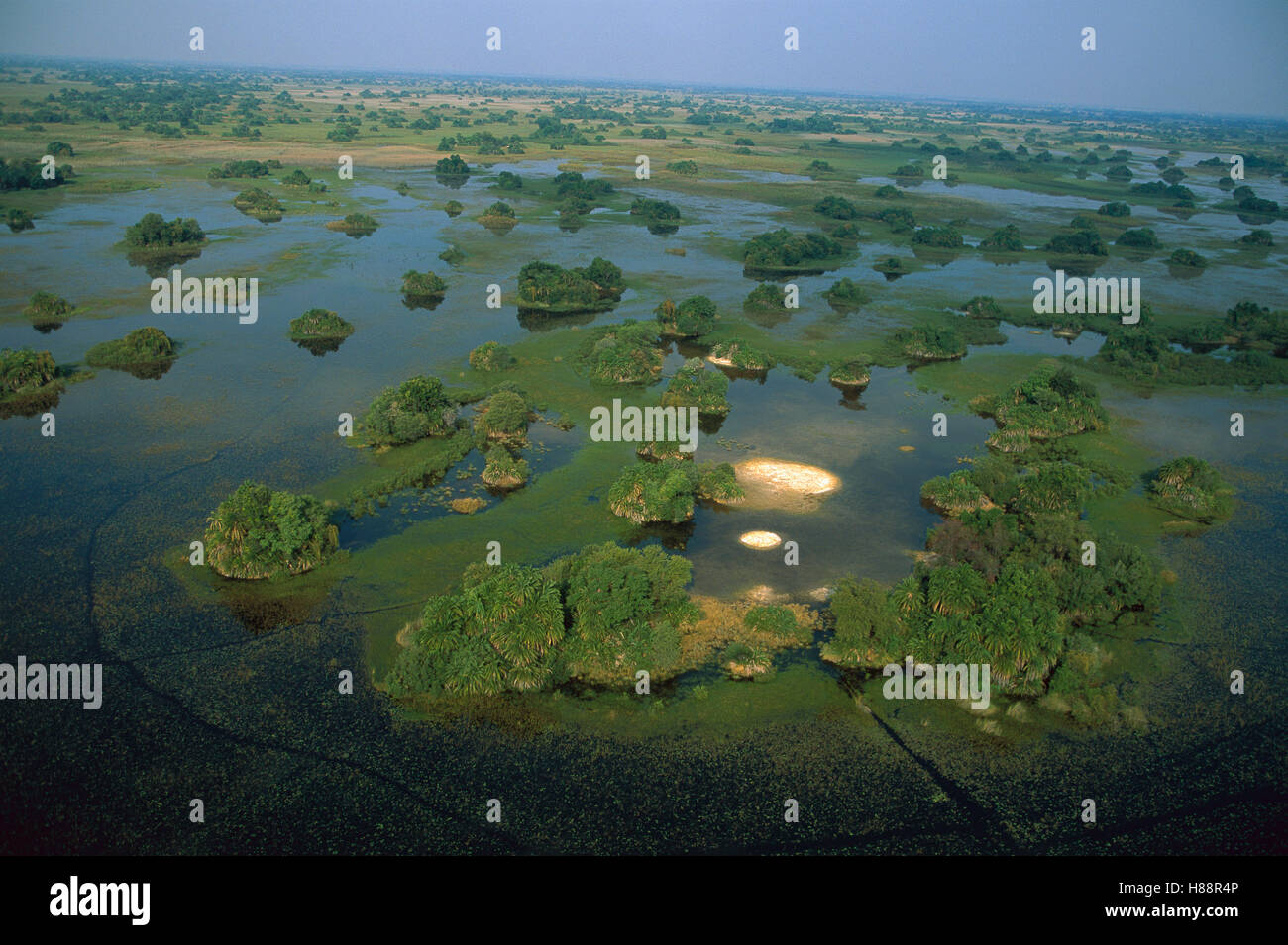 Rainy season flooding, Okavango Delta, Botswana Stock Photo - Alamy