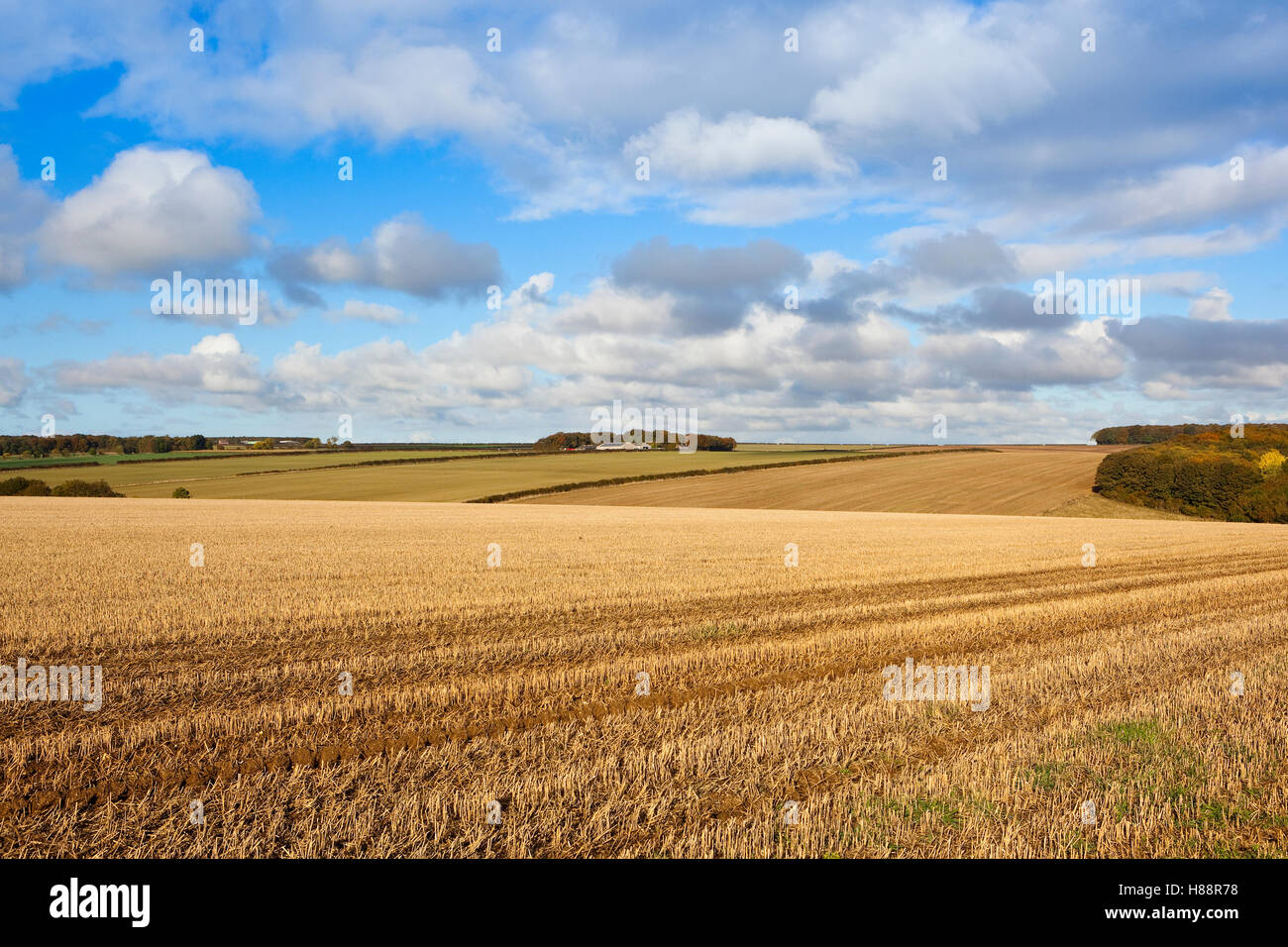 Patterns and textures of Autumn stubble fields in the scenic landscape ...