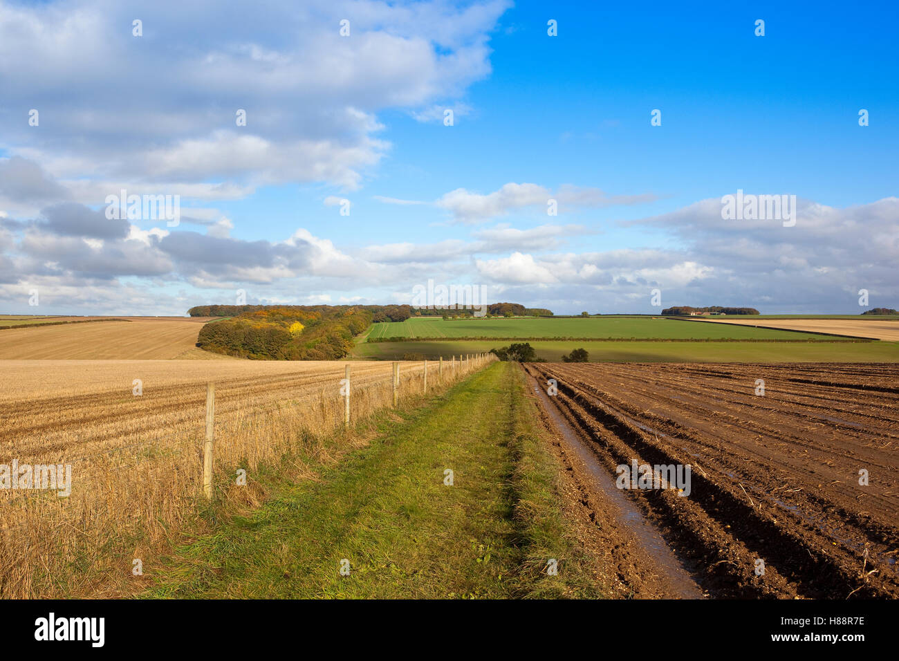 A grassy headland with a post and wire fence between a muddy harvested ...