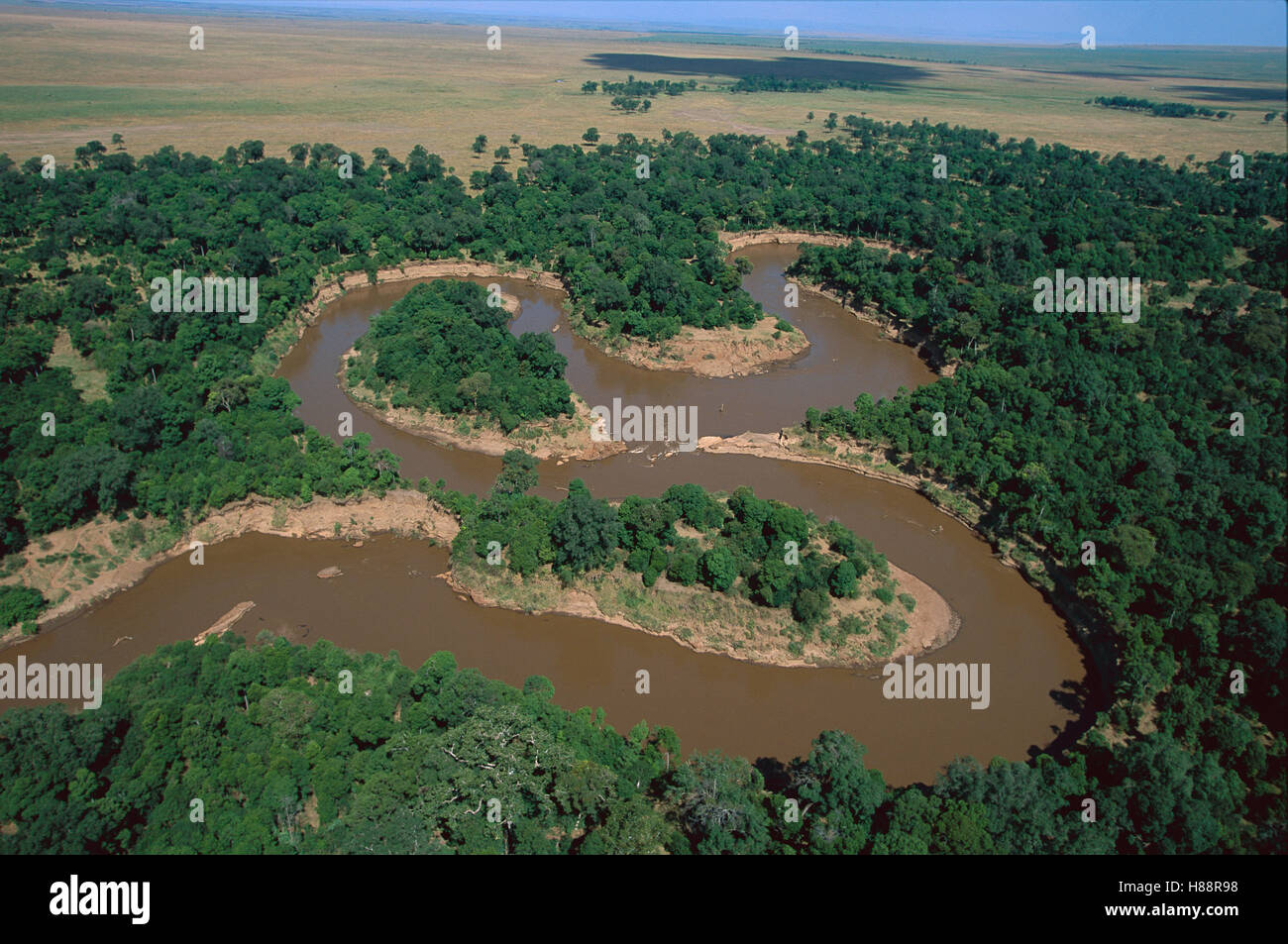 Mara River, Masai Mara National Reserve, Kenya Stock Photo - Alamy