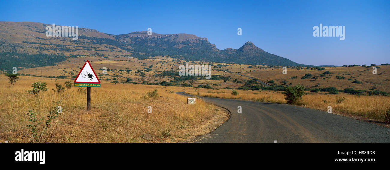 Road, Itala Game Reserve, South Africa Stock Photo - Alamy