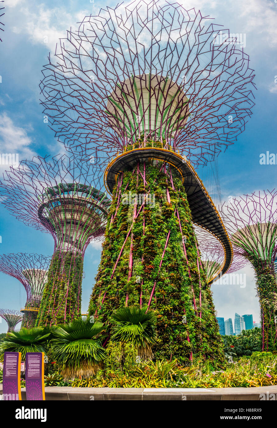 Supertree Grove with skyway in the Gardens by the Bay futuristic ...