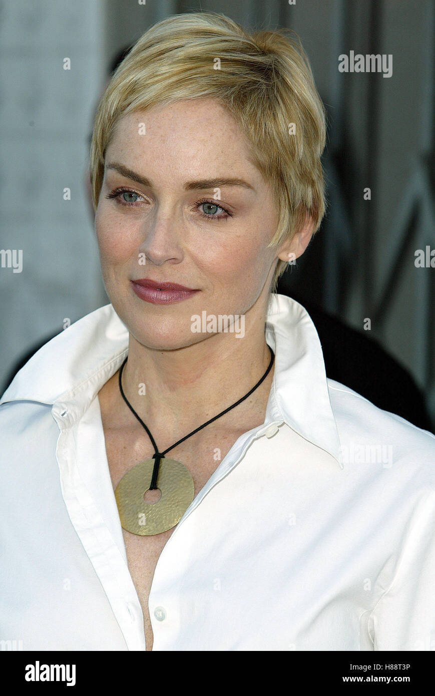 SHARON STONE 10TH ANGEL FOOD'S ANGEL AWARDS PROJECT ANGEL FOOD LOS ...
