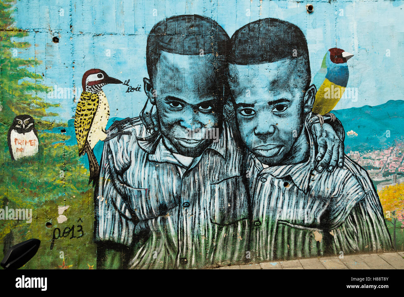 Street art, mural, two boys with birds, Medellin, Colombia Stock Photo ...
