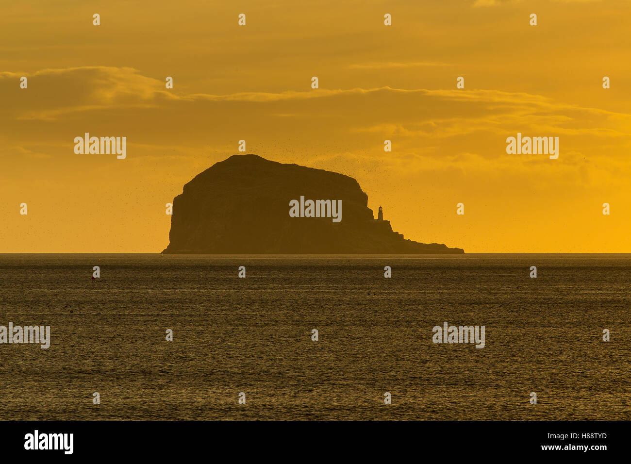 Bass Rock sea bird sanctuary, North Berwick, East Lothian, Scotland ...