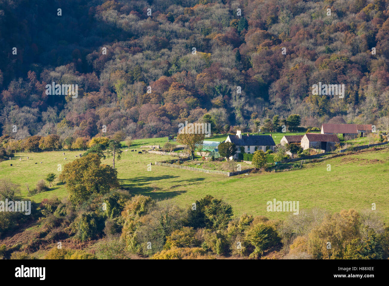 Autumn in the Wye Valley - Lancaut Farm viewed from Wintours Leap ...