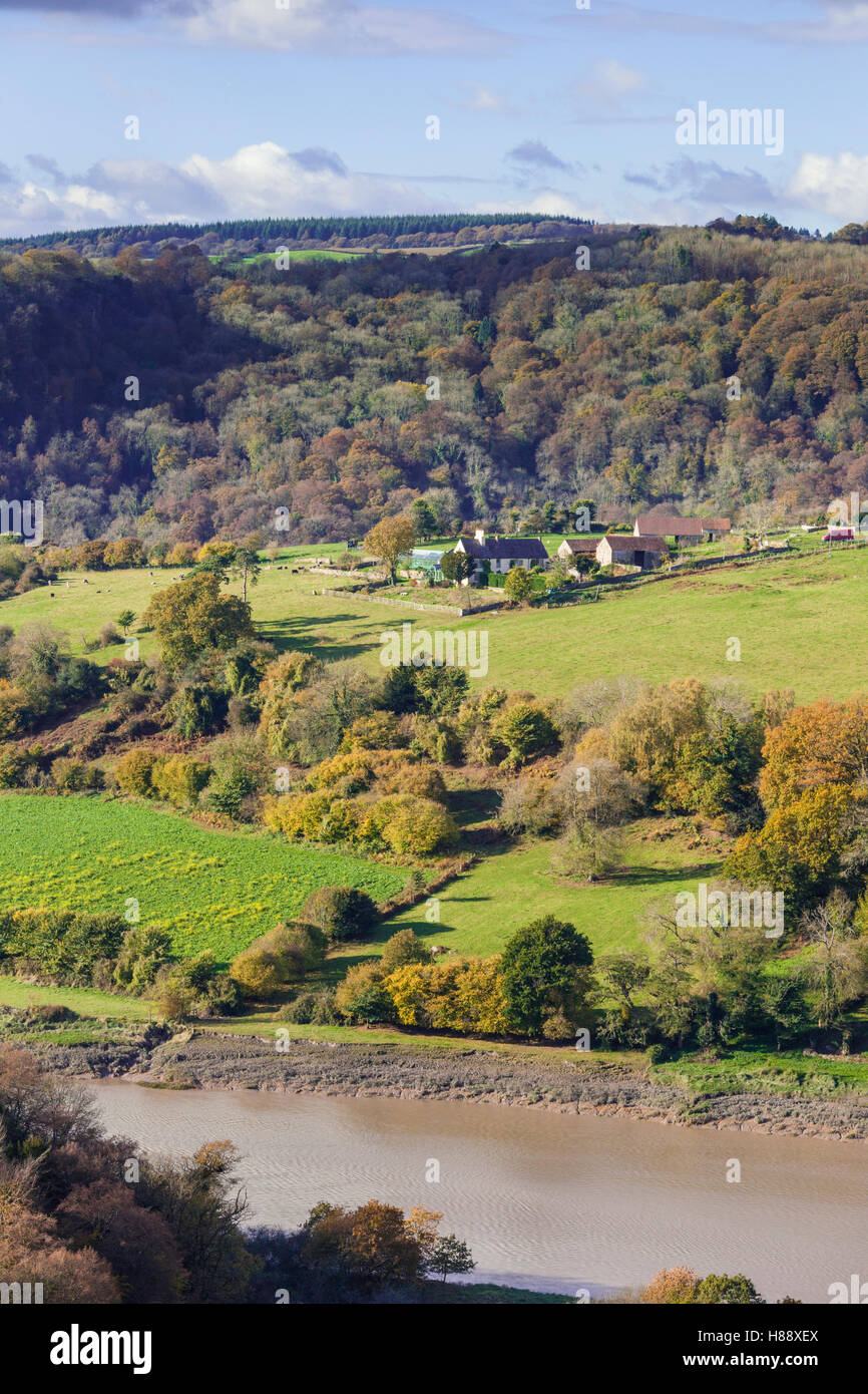 Autumn in the Wye Valley - Lancaut Farm beside the River Wye viewed ...