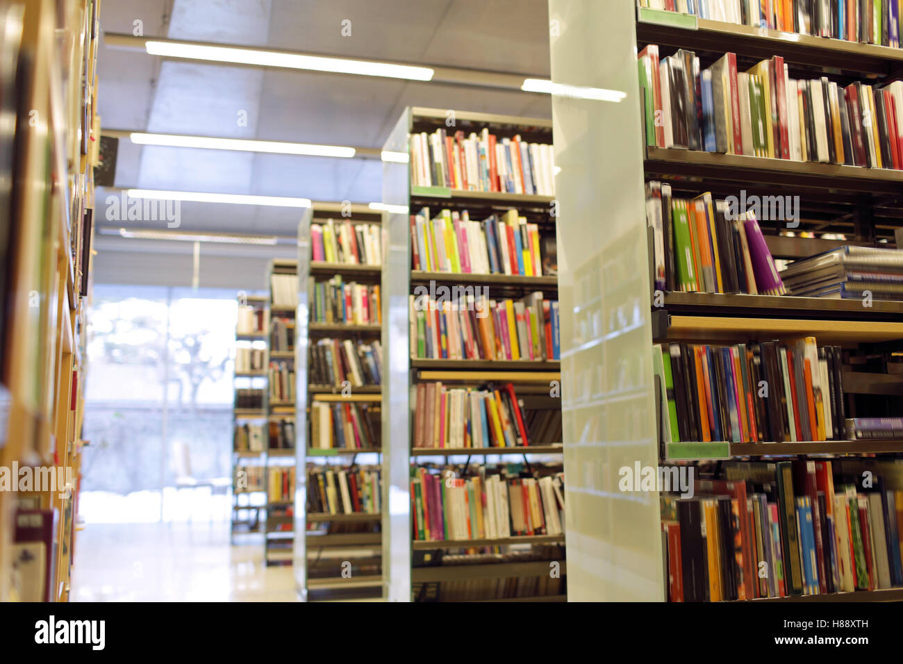 bookshelves with books at school library Stock Photo - Alamy