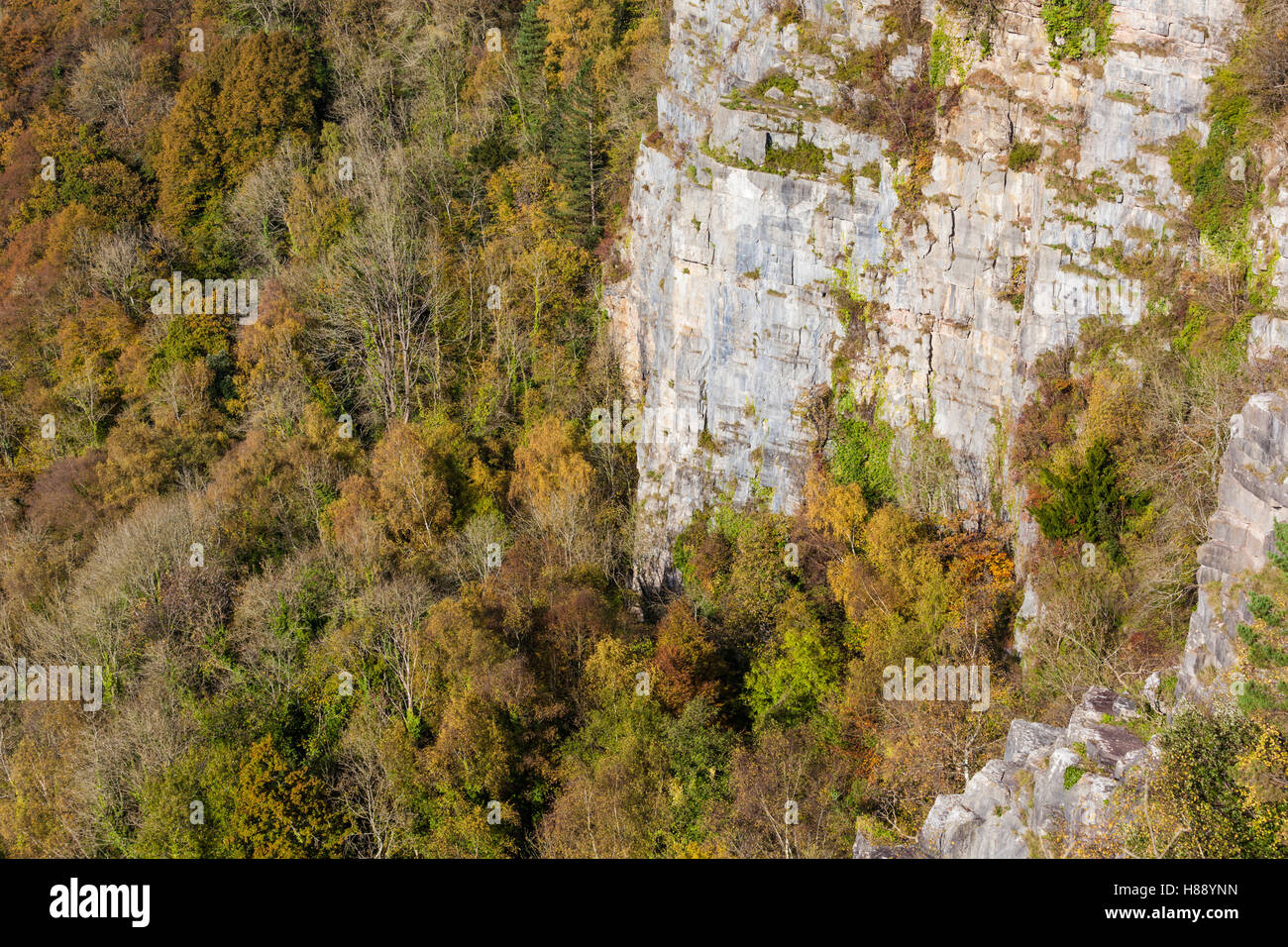 Uk limestone cliff hi-res stock photography and images - Alamy