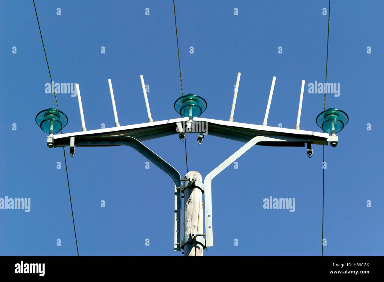 Protection against electrocution, for big birds like vultures, France ...