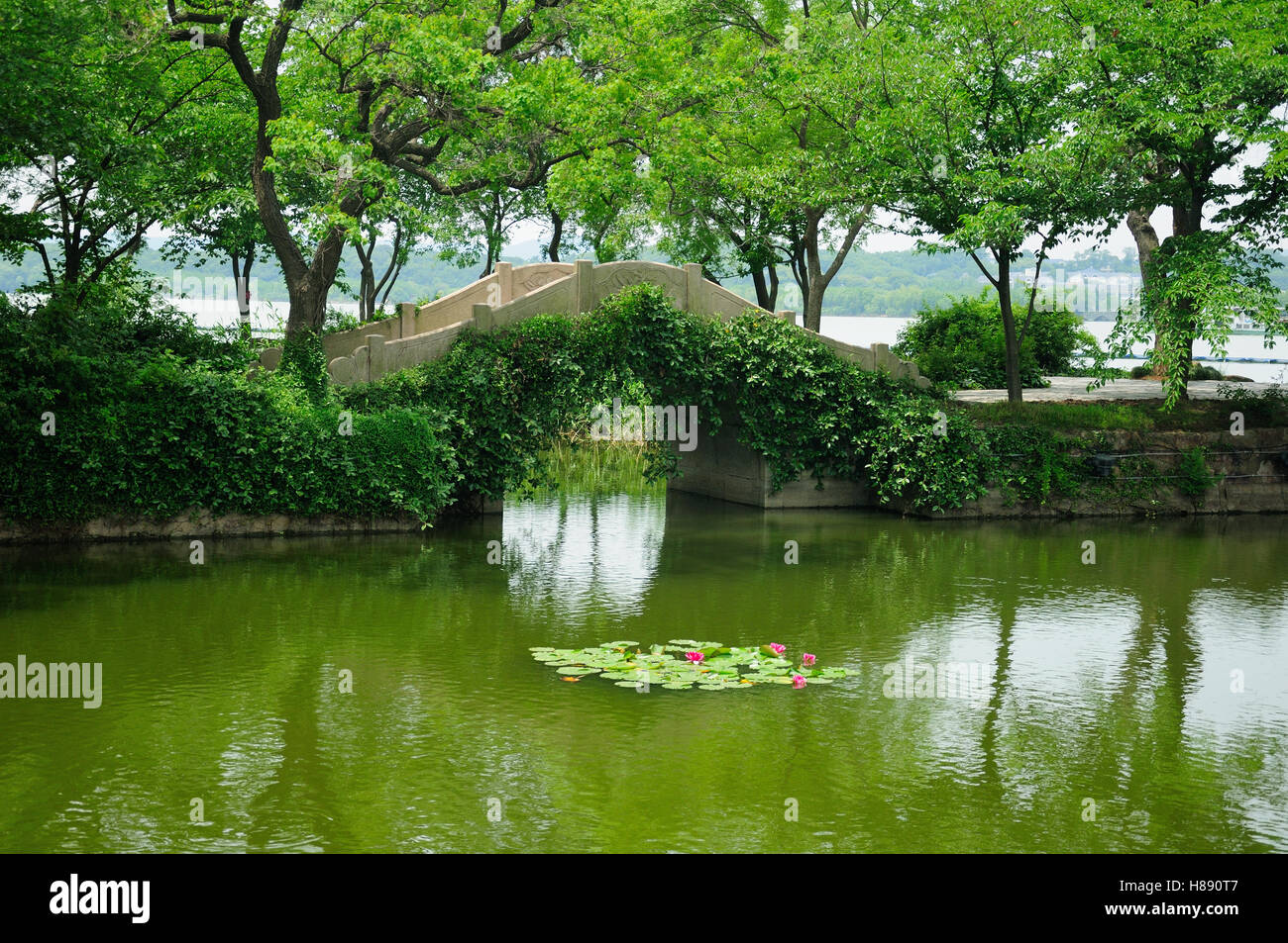 Lake tai hi-res stock photography and images - Alamy