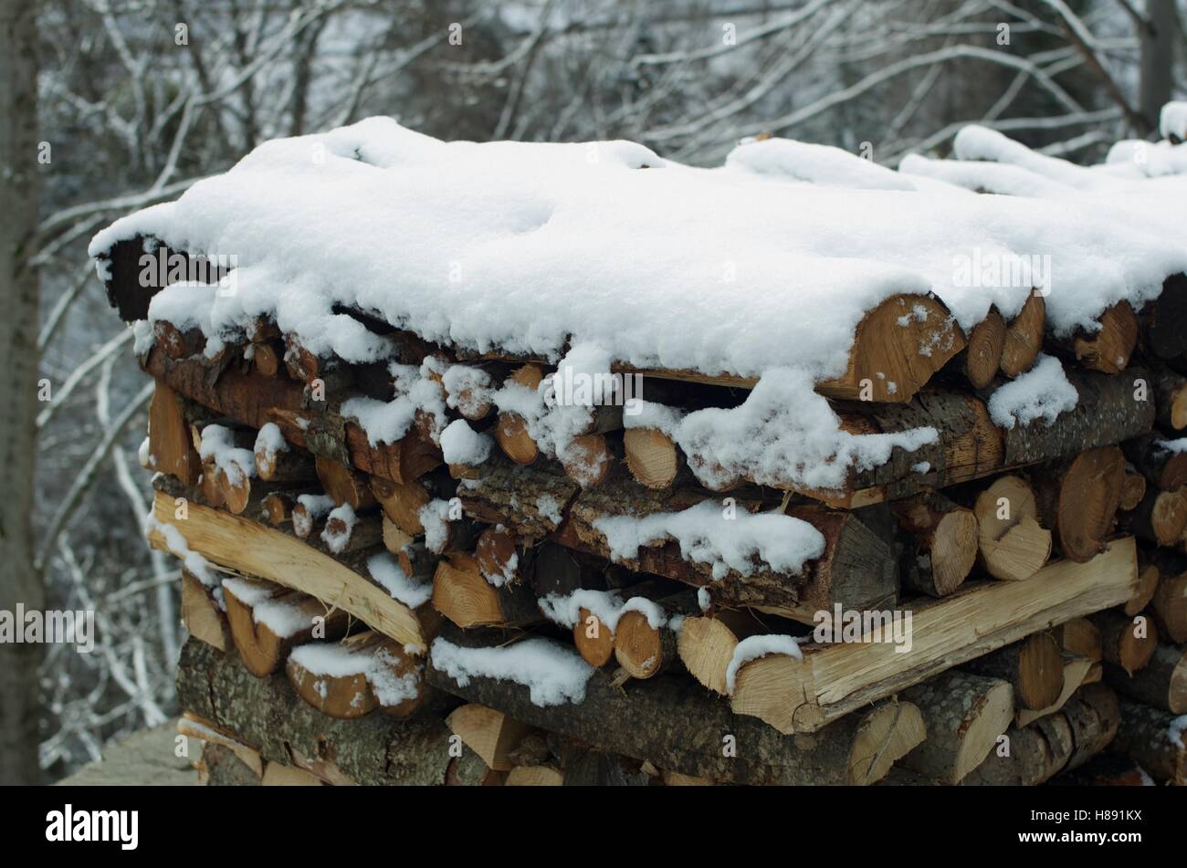 A winter wood pile Stock Photo - Alamy
