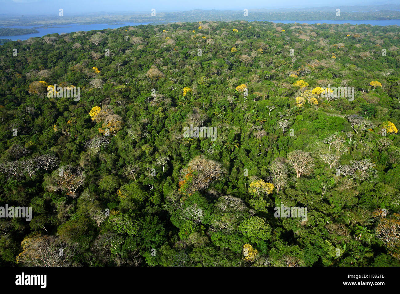 Aerial view of the Canal Zone, Barro Colorado Island, Research Station ...