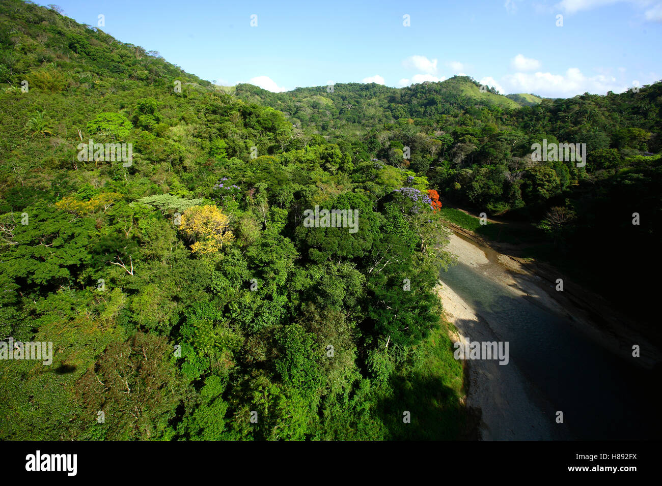 Aerial view of the Canal Zone, upper Chagres River, upper Chagres ...